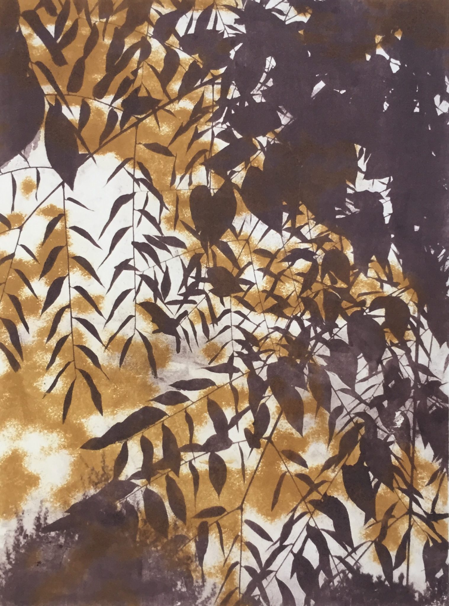 New monotypes | April 2010 | Sally Frank | Printmaker