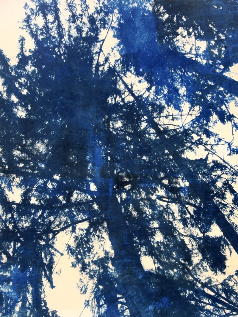 Lithographs - Sally Frank | Printmaker