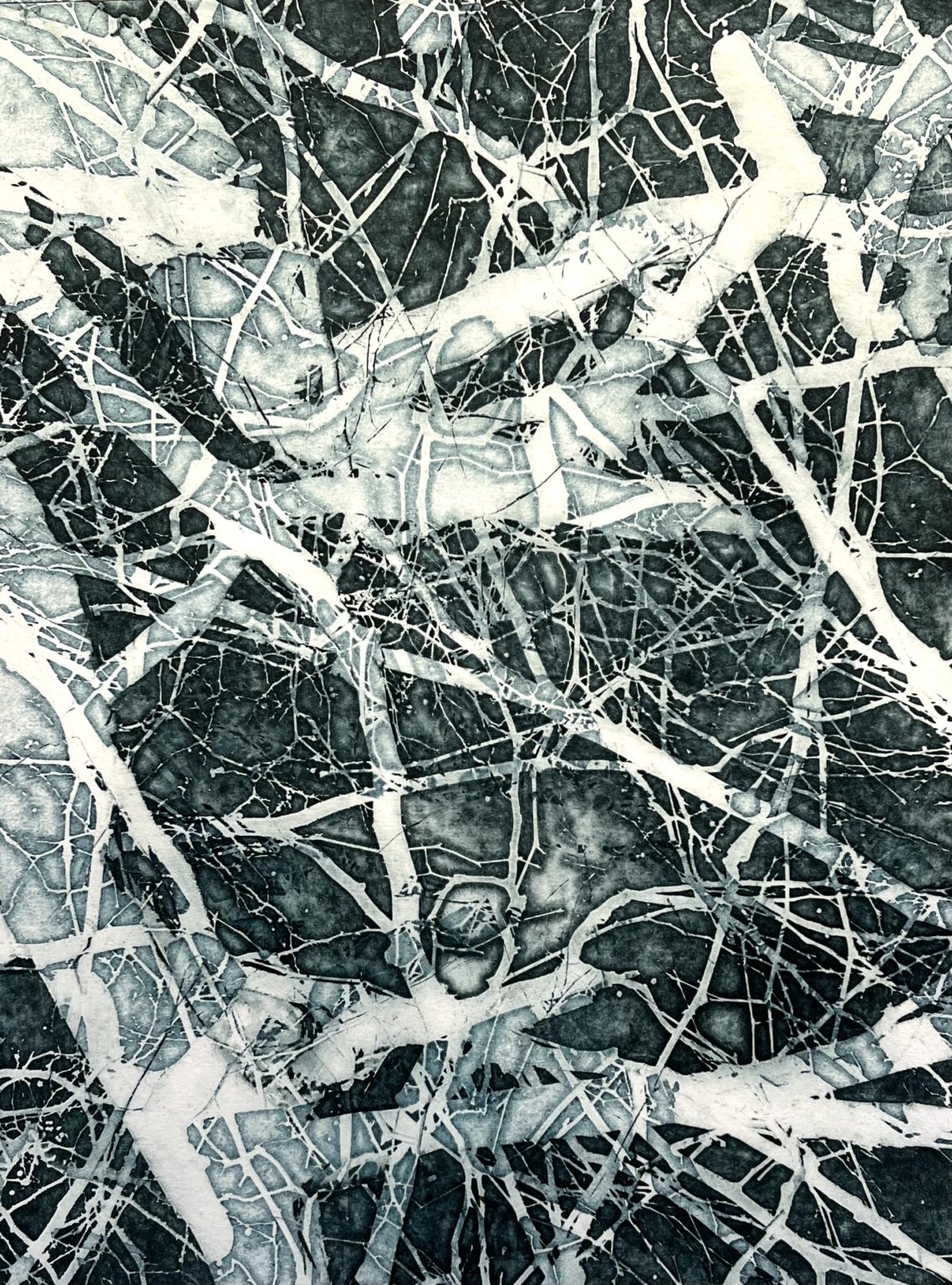 New Work - Sally Frank | Printmaker
