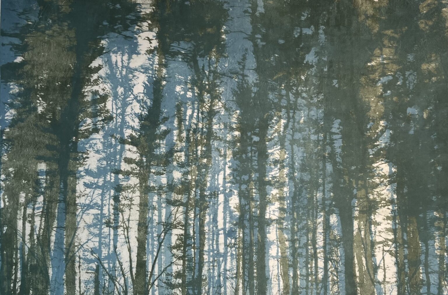 Lithographs - Sally Frank | Printmaker